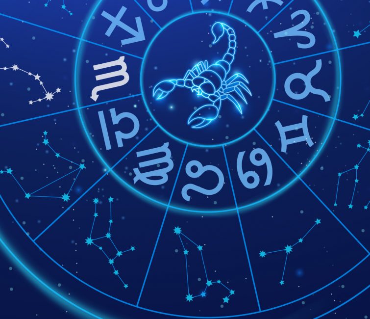 November 4th Birthday - Zodiac Sign