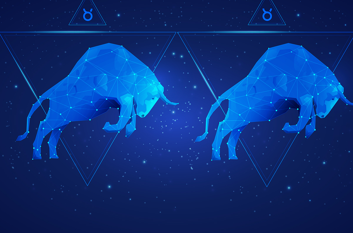 Taurus and Taurus Zodiac Compatibility